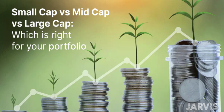 Small cap, mid cap, And large cap Stocks: which is right for your ...